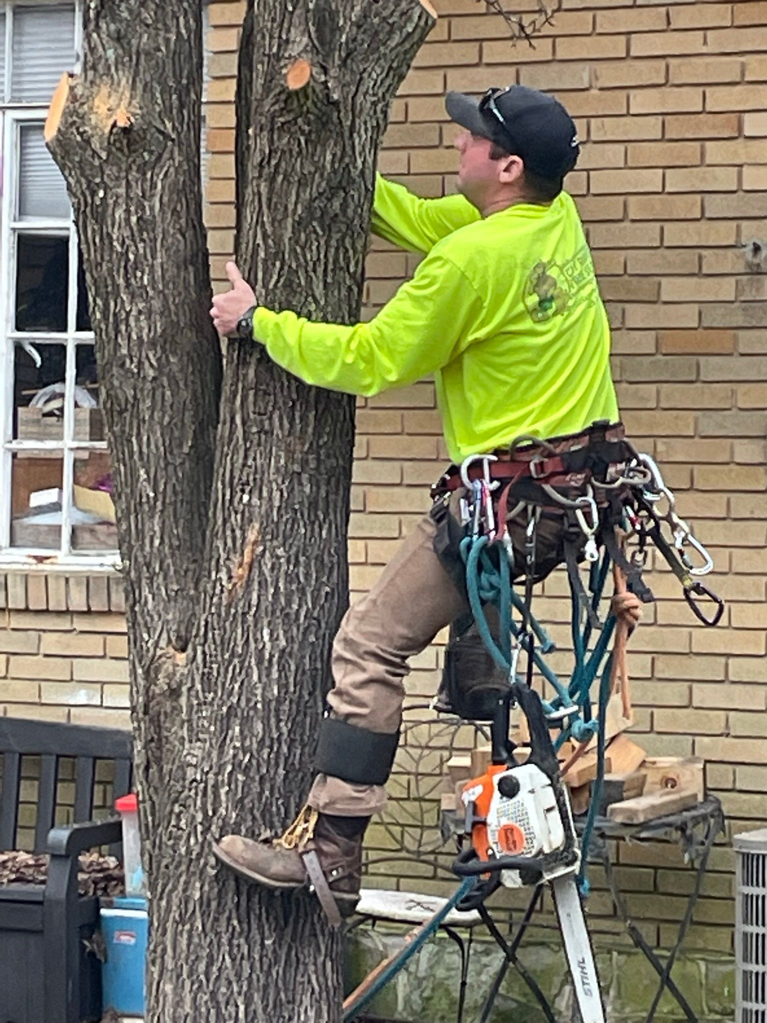 Local Tree Service Chattanooga, TN | Cut Right Tree Service