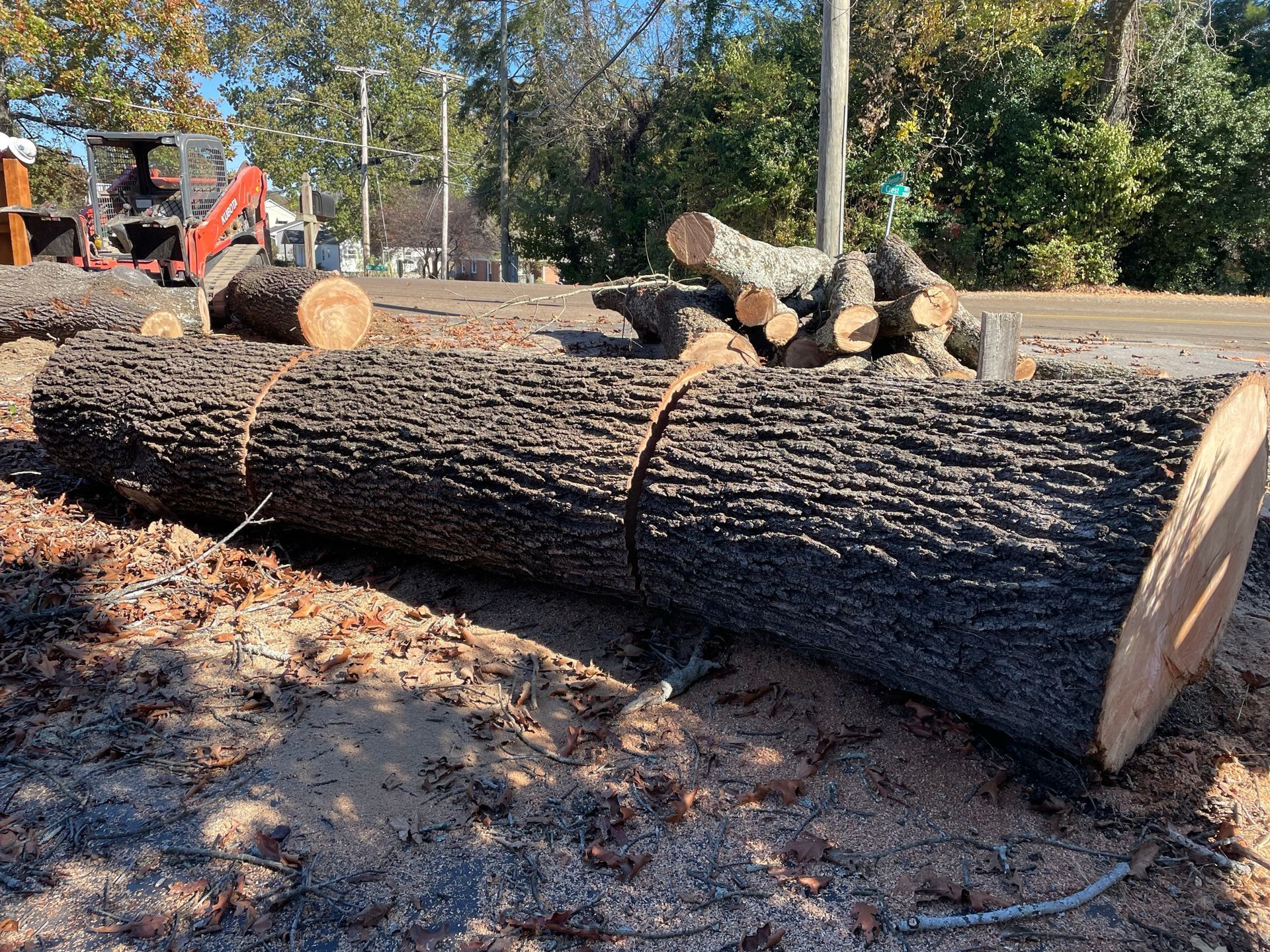 Local Tree Service Chattanooga, TN | Cut Right Tree Service