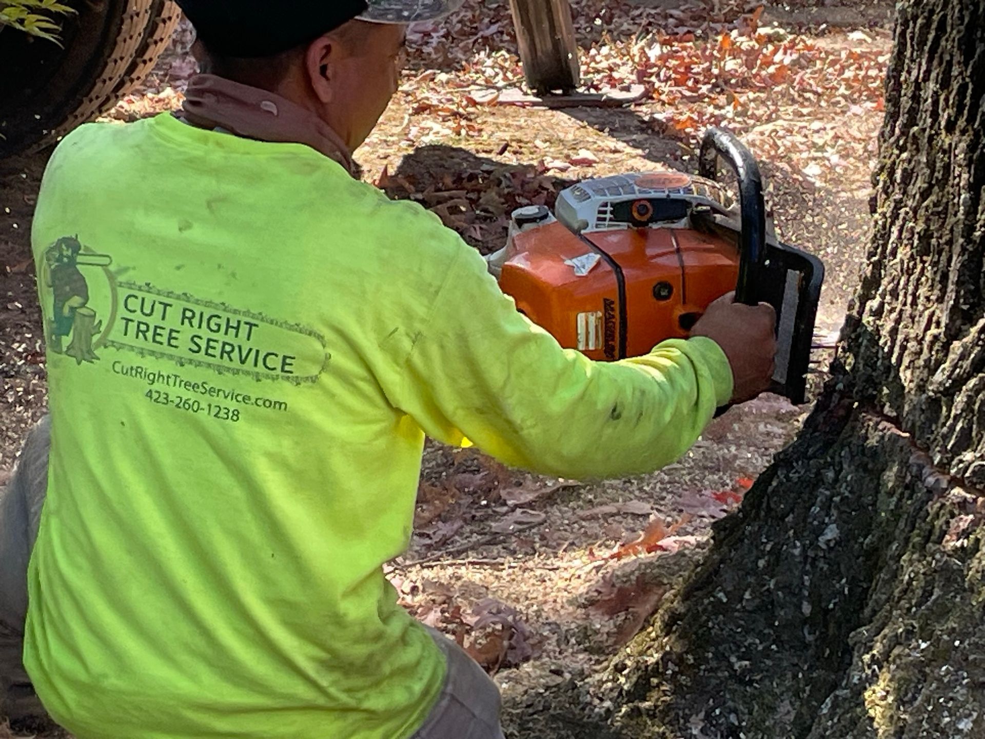 Local Tree Service Chattanooga, TN | Cut Right Tree Service