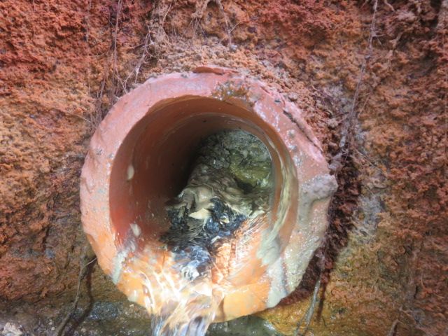 Septic Inspections