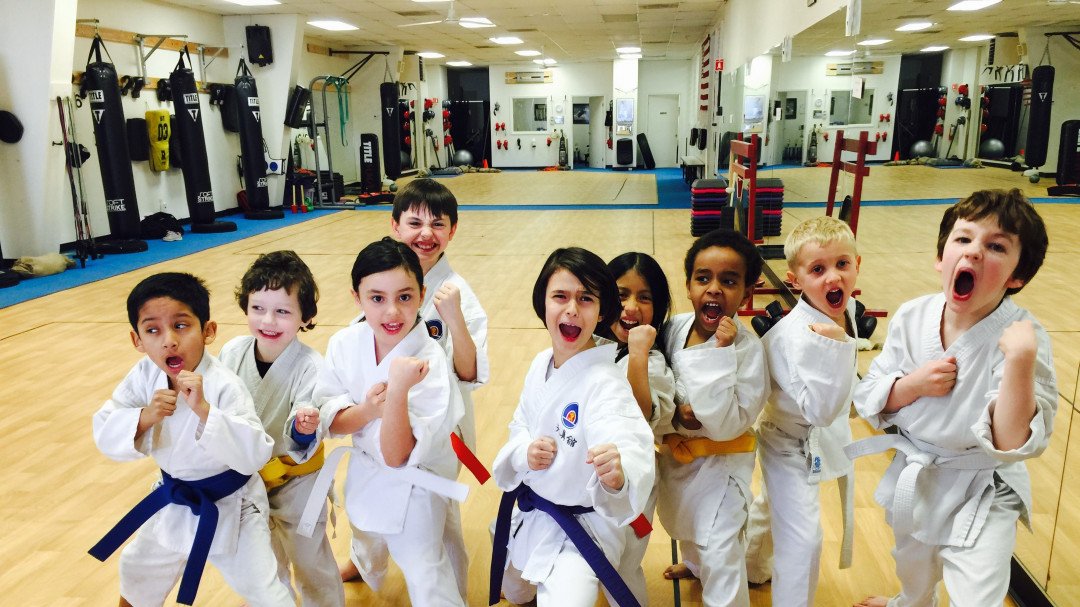 Karate Classes in Kingston & Red Hook, NY | Peaceful Warrior Karate