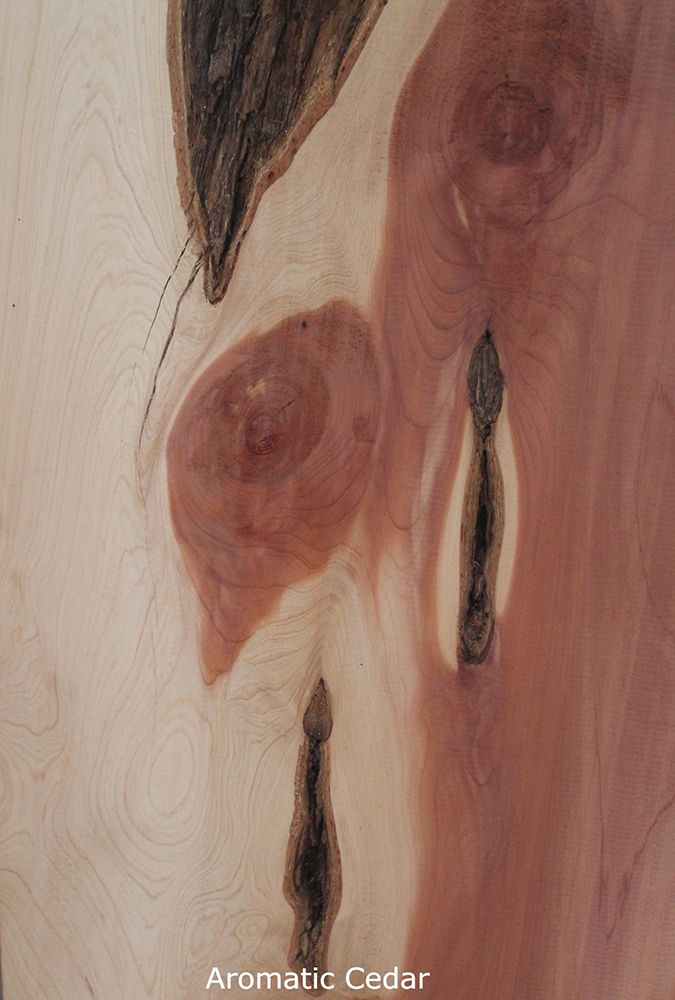 Domestic Wood Available | Alder, Ash, Basswood, beech, birch butternut ...