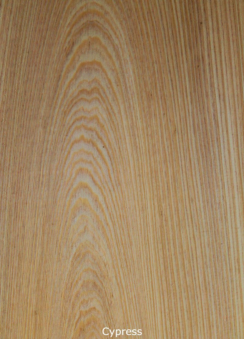 Domestic Slabs for Sale | Live Edge Wood