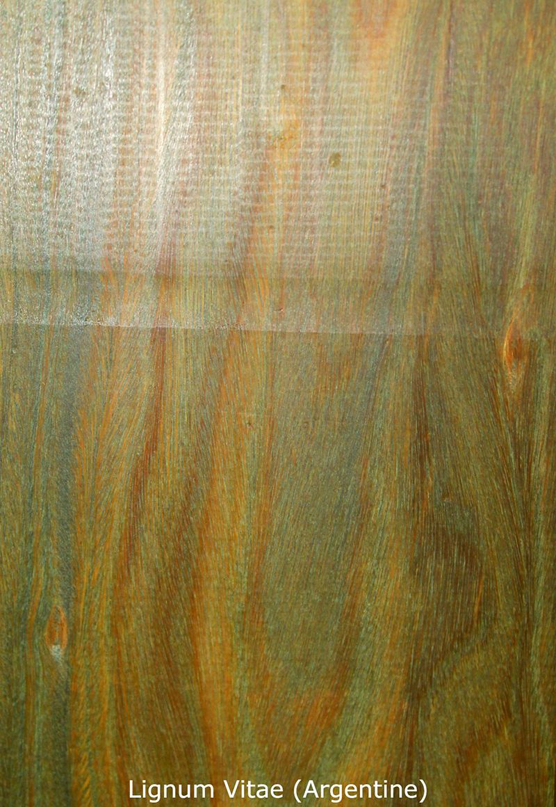 Exotic Wood Available | Bacote, Bloodwood, black limba, bubinga, canary ...