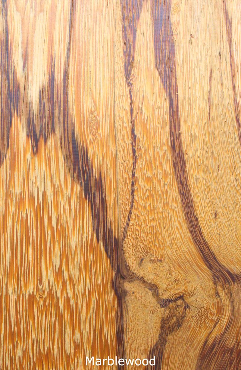 Exotic Wood Available | Bacote, Bloodwood, black limba, bubinga, canary ...