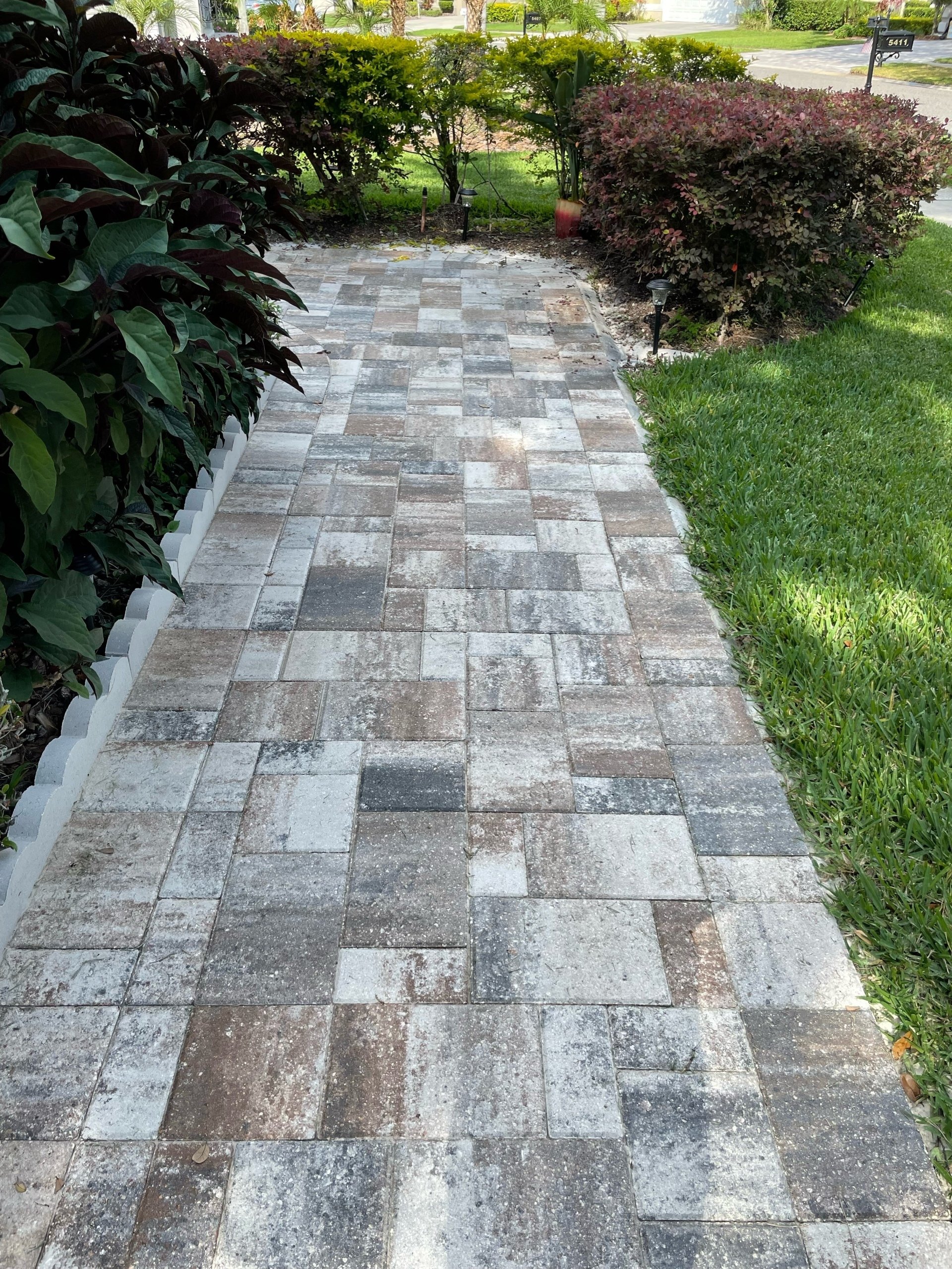 Paver installation and Sealing | Land O Lakes, FL | Brazilian Pavers Inc