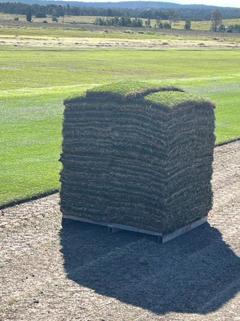 Turf Laying in Toowoomba | Placid Hills Turf