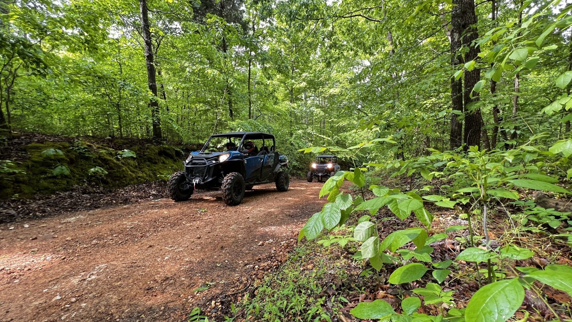 Fisher's Off-Road Tours |Tennessee 4-Hour Winery SxS Tour