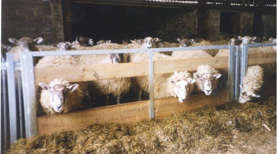 Bespoke Steel Fabrications, Fencing & Builders Merchants