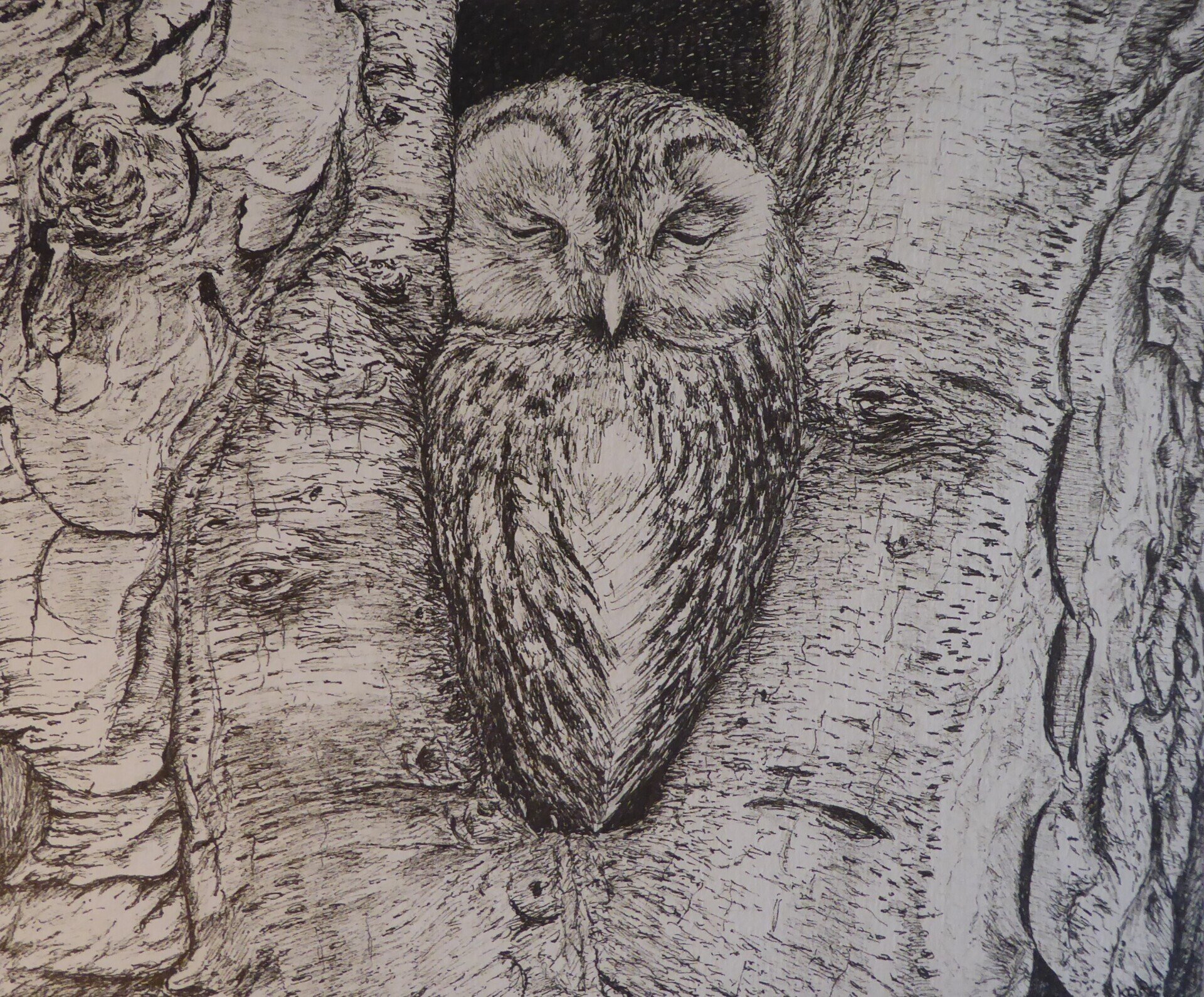 IJzerhart vogels