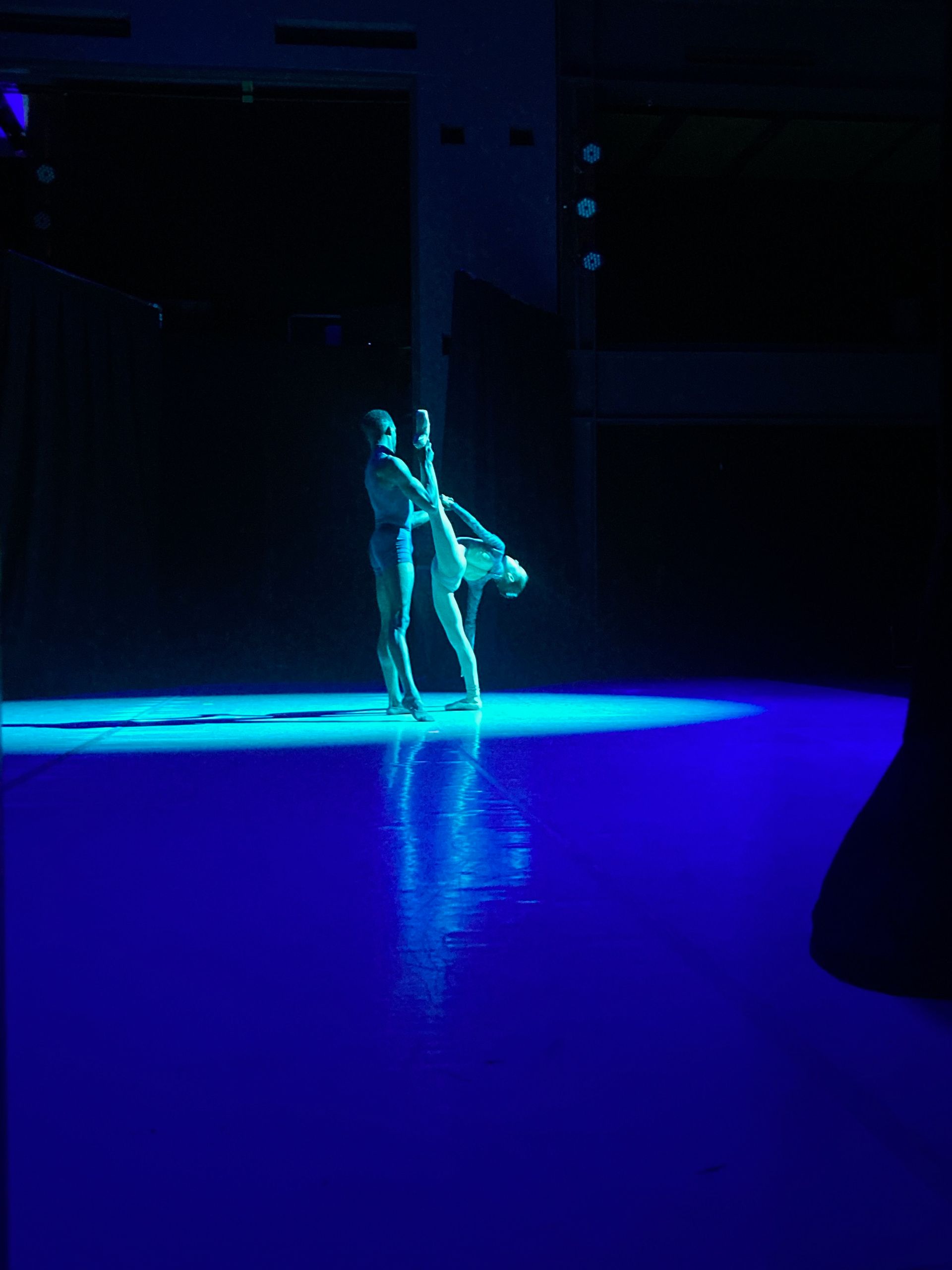 Upcoming Events - Ballet Papillon | Dallas, TX