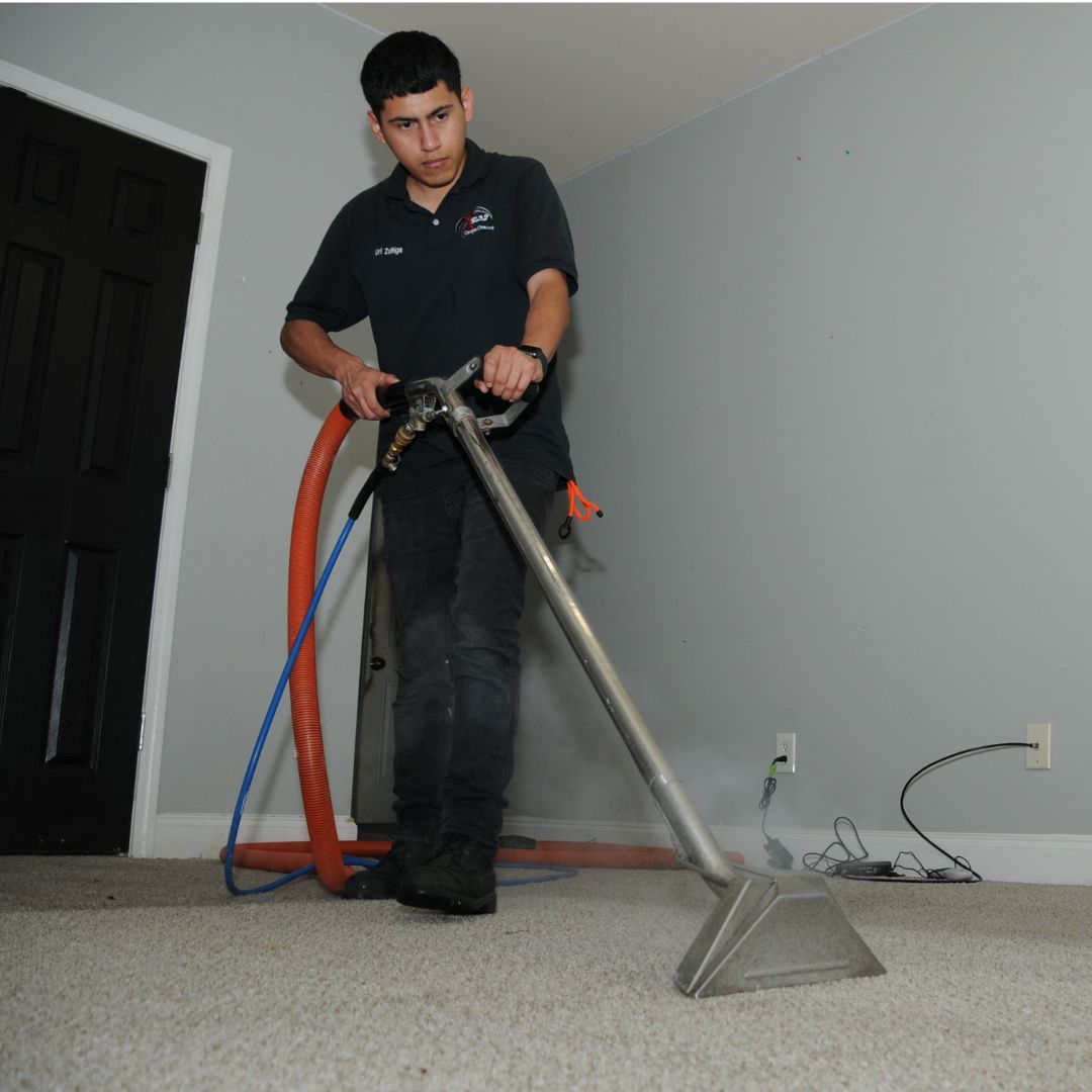 Blas Carpet: Carpet Cleaning Service