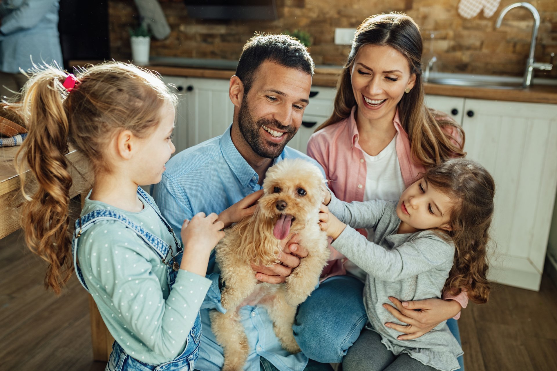 Precious Paws Puppy Breeders -Puppies for Sale in Ontario