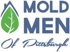 Mold Experts | Pittsburgh, PA | Mold Men