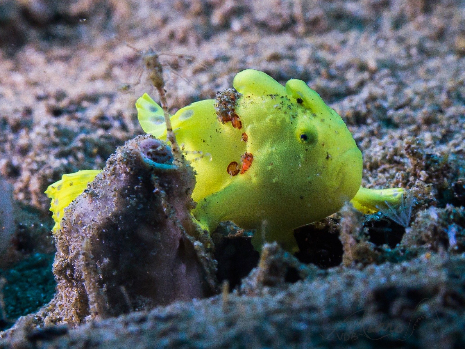 Explore | Amor Laut Resort