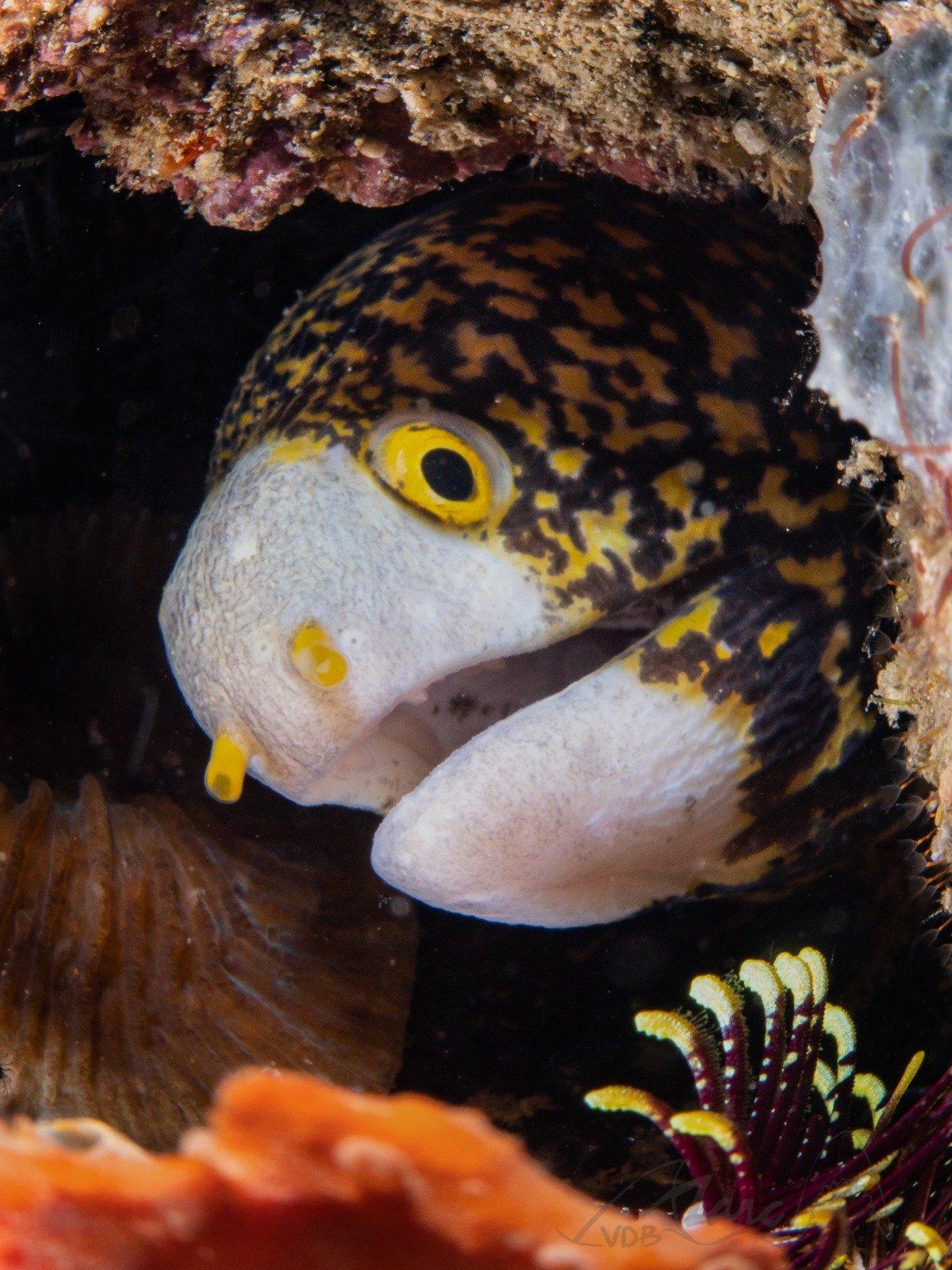 Explore | Amor Laut Resort