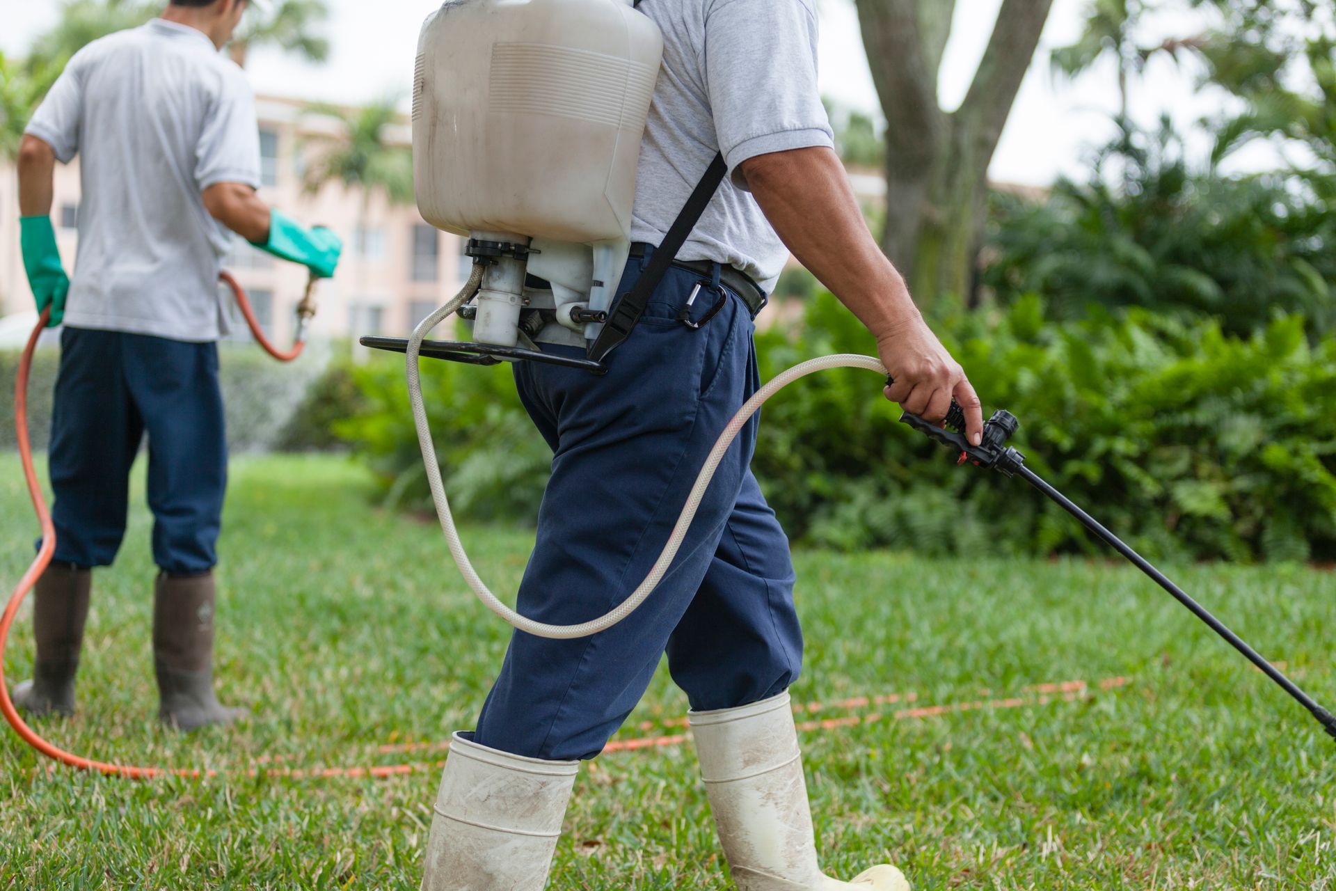 Pest Control – Cumming, GA – Lanier Exterminating Service