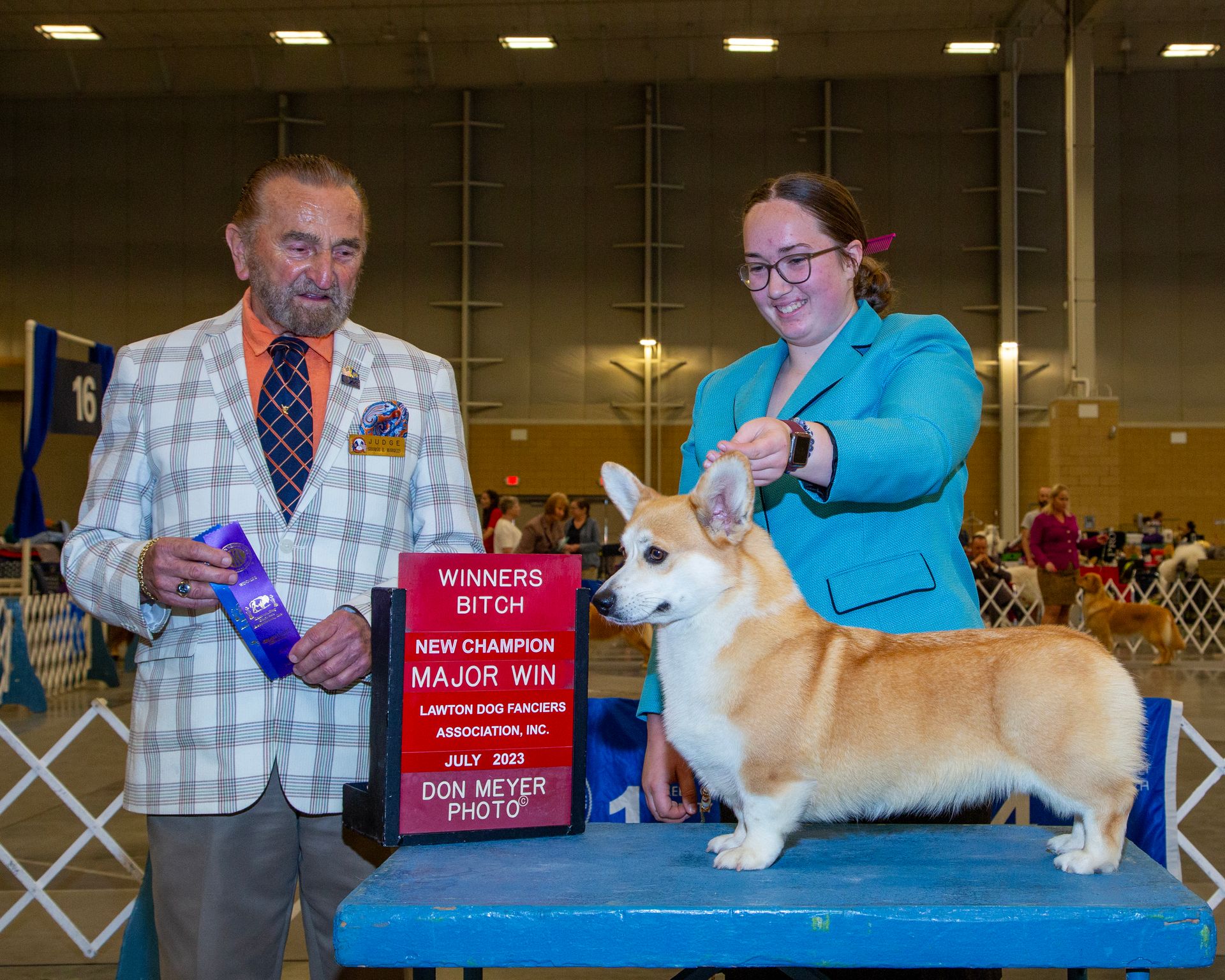 Corgi Puppy Gallery | F&M Corgis
