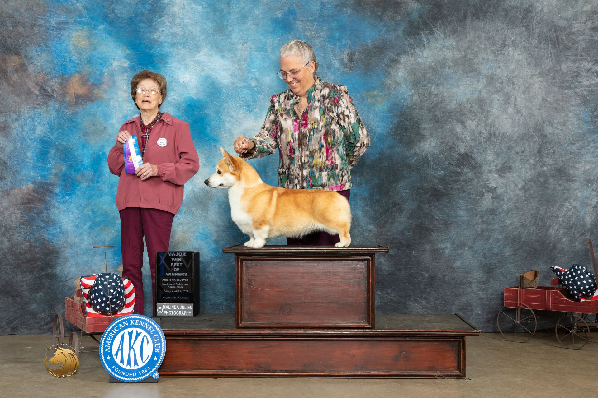 Corgi Puppies | F&M Corgis | Anywhere