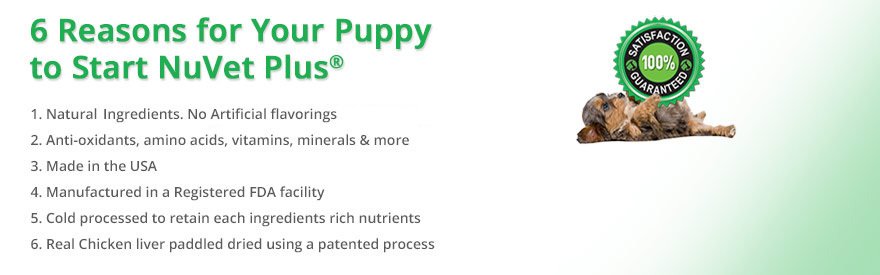 NuVet Plus | Corgis Health | F&M Corgis