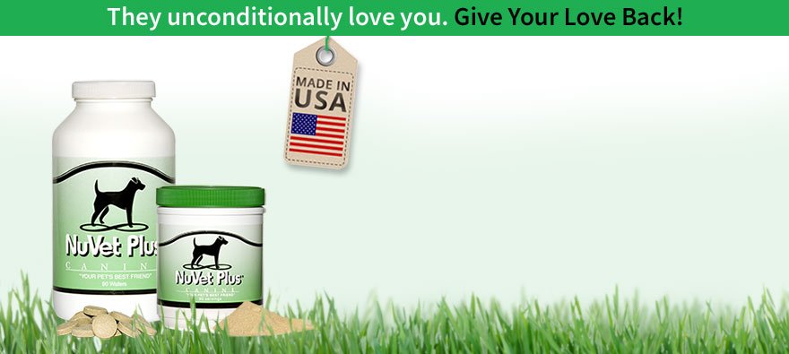 NuVet Plus | Corgis Health | F&M Corgis