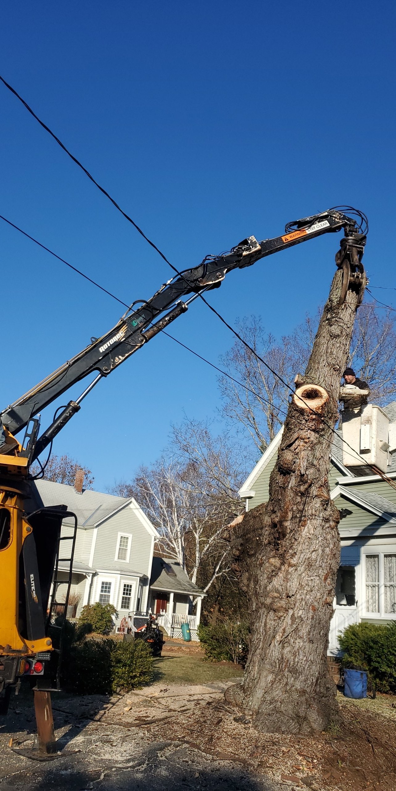Gallery • Timber Pros • Tree Services