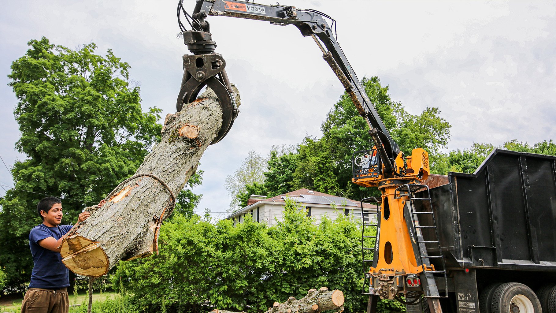 Gallery • Timber Pros • Tree Services