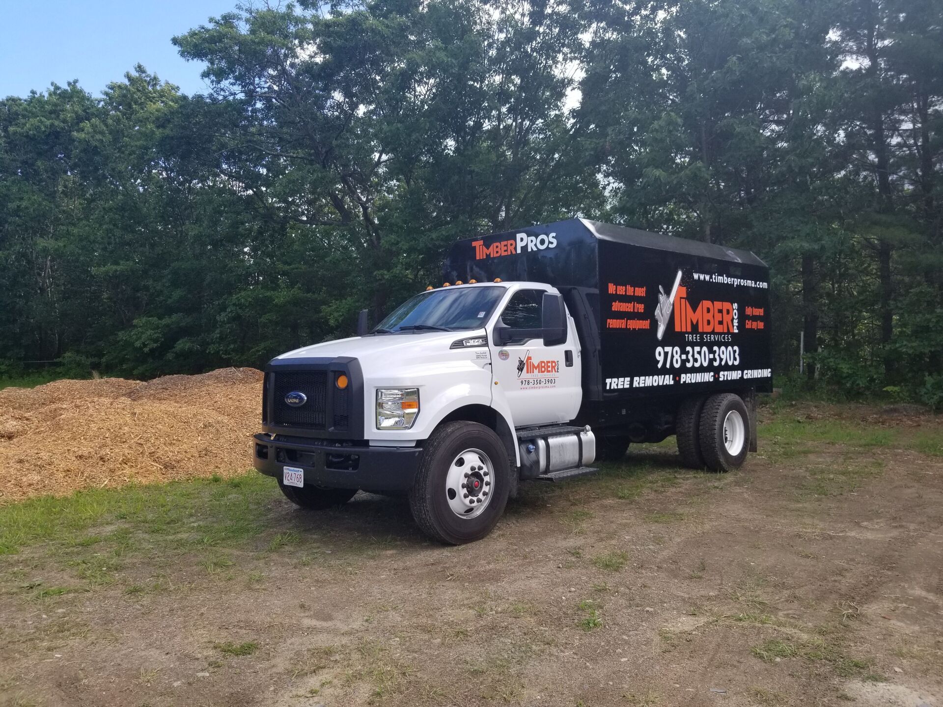 Gallery • Timber Pros • Tree Services