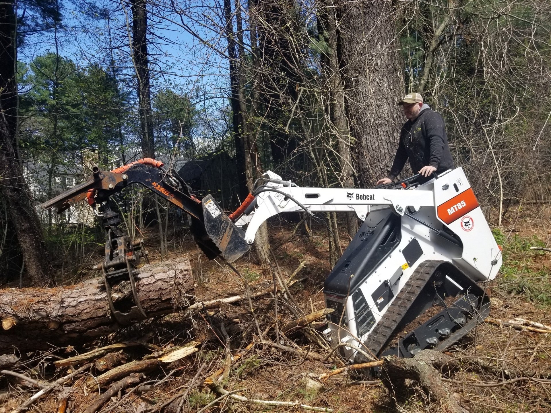 Gallery • Timber Pros • Tree Services