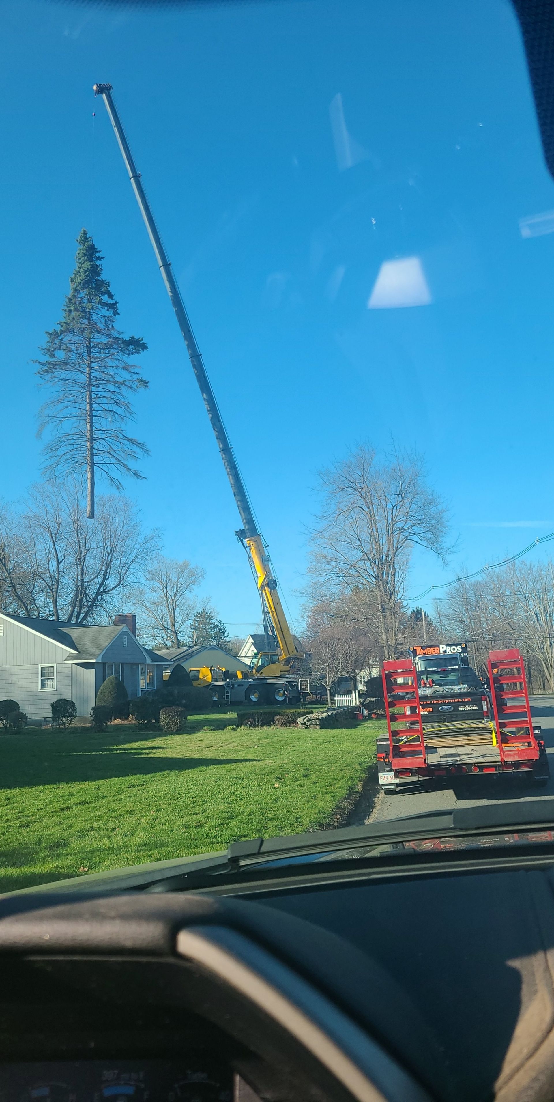 Gallery • Timber Pros • Tree Services