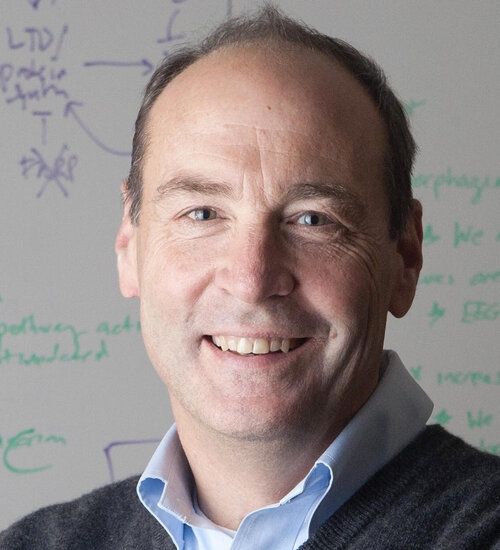 Dan Lewis Foundation for Brain Regeneration Research