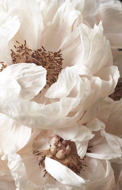 Massage du ventre Chi Nei Tsang