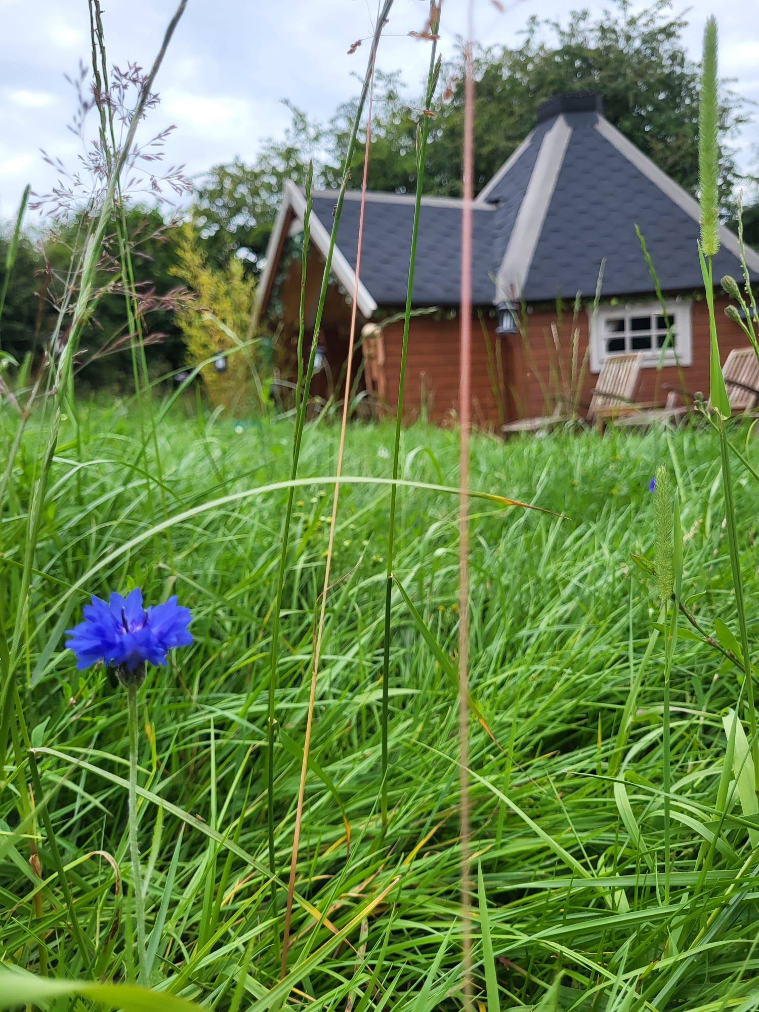 Tipsy Tree Glamping - Cheshire Countryside Glamping