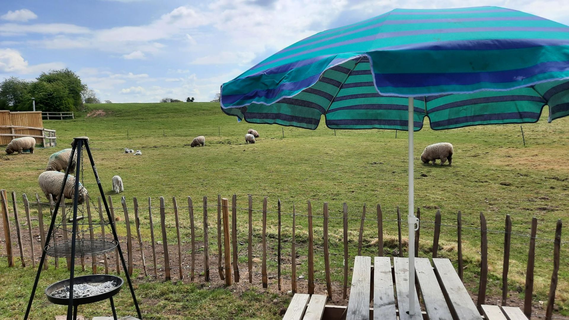 Gallery - Tipsy Tree Glamping