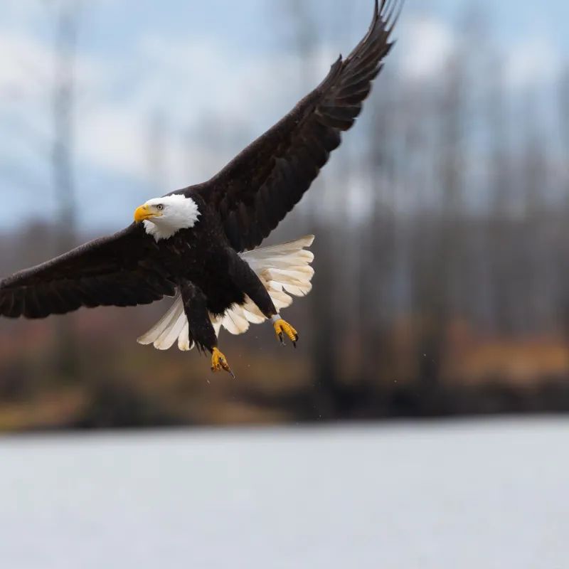 Rainbow Falls Tour | HARRISON ECO TOURS | BC