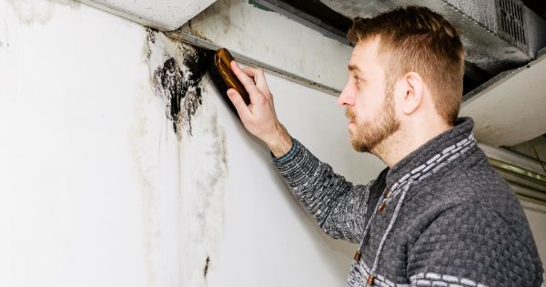 How to Kill Mold on Drywall Surfaces
