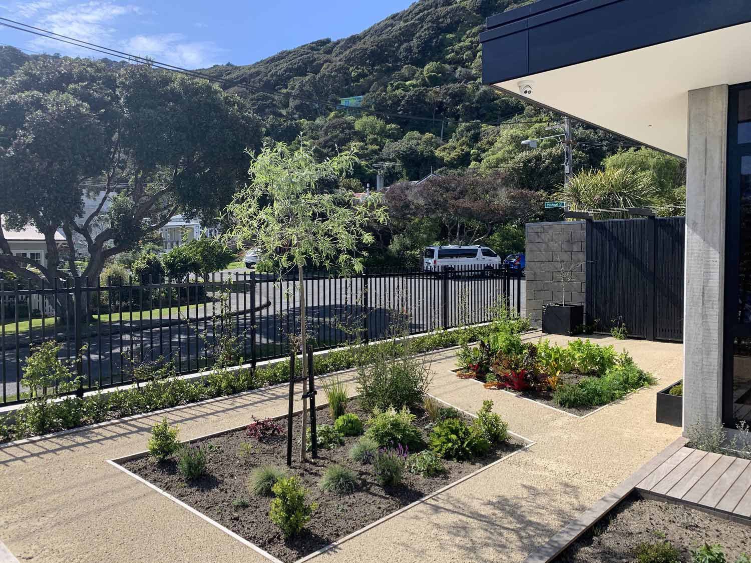 Home Landscaping Projects | Wellington, NZ