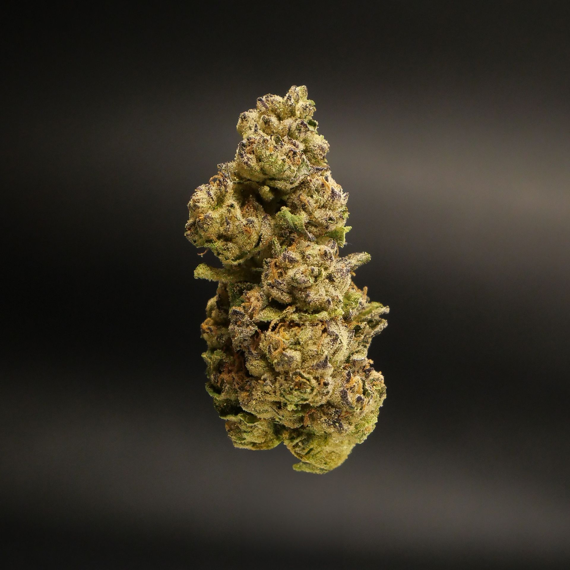 Prairie State Hemp - Photo Gallery