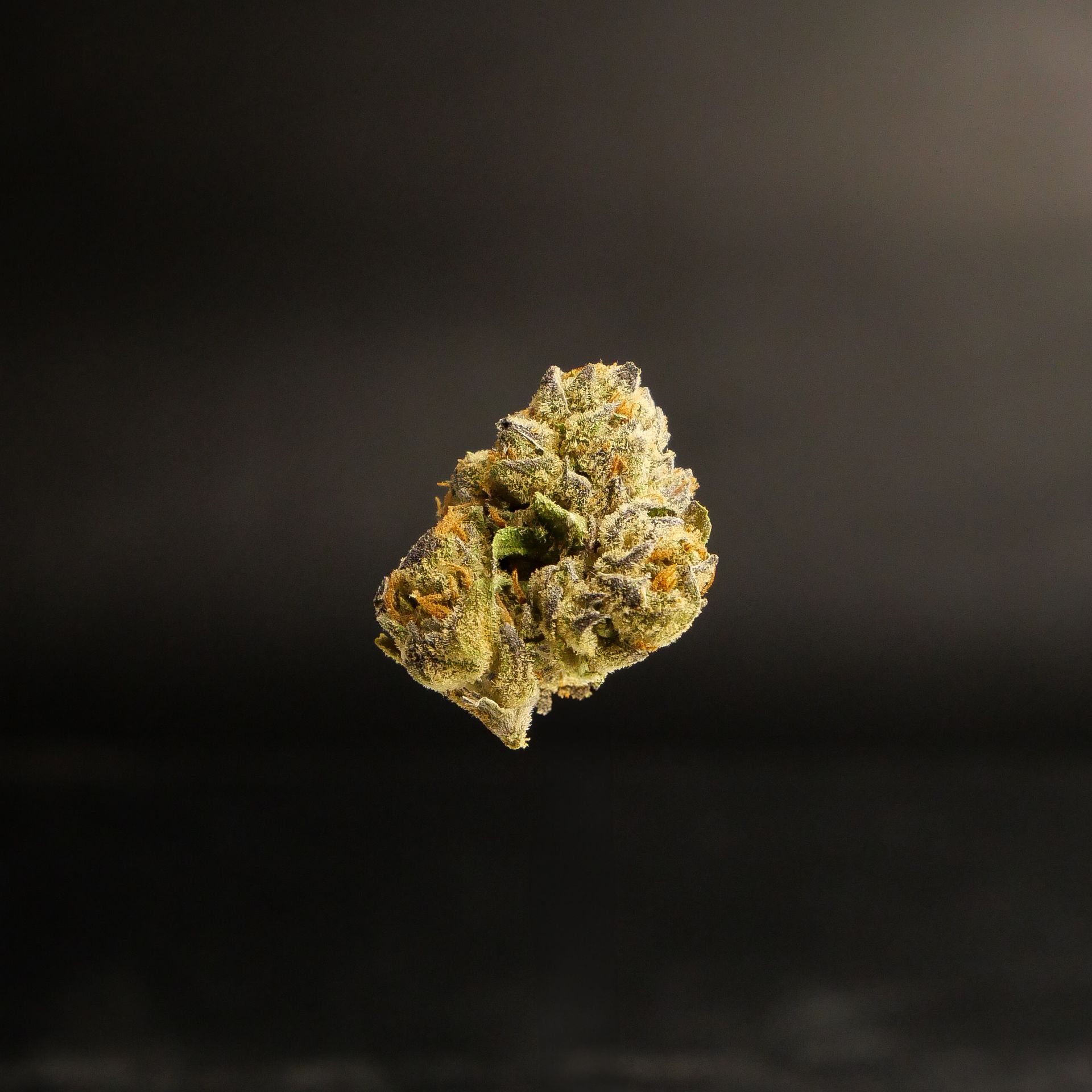 Prairie State Hemp - Photo Gallery