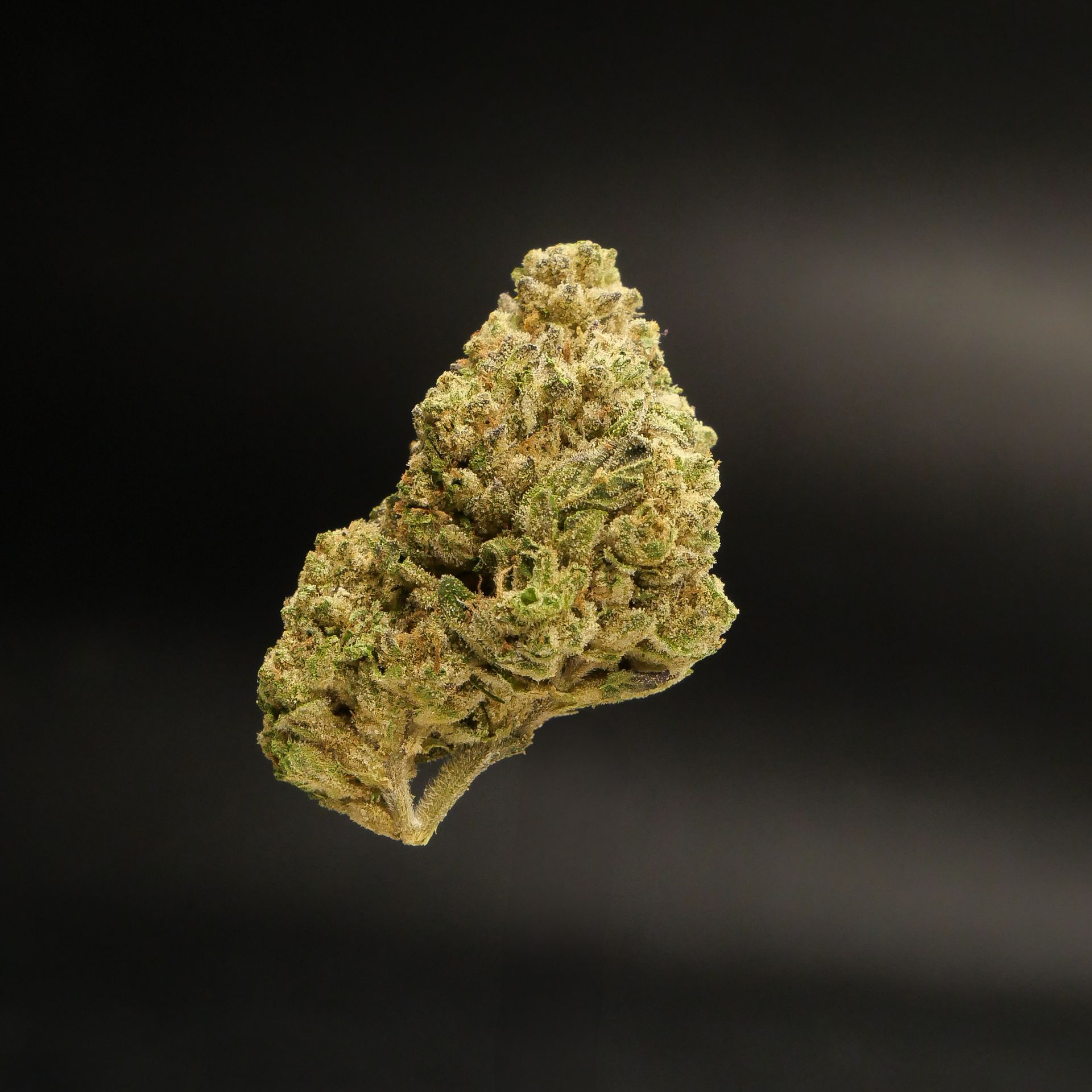 Prairie State Hemp - Photo Gallery