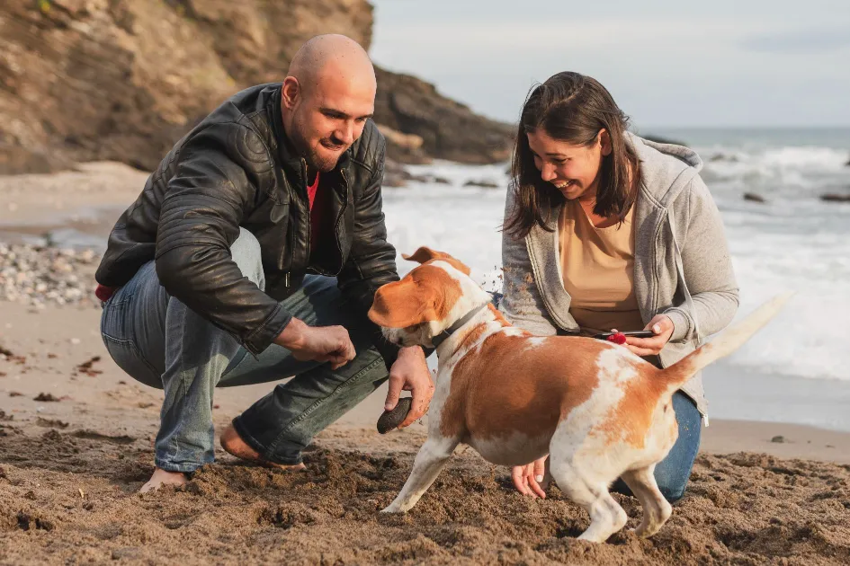 Adopter un chien dans un refuge - Robin éducateur canin