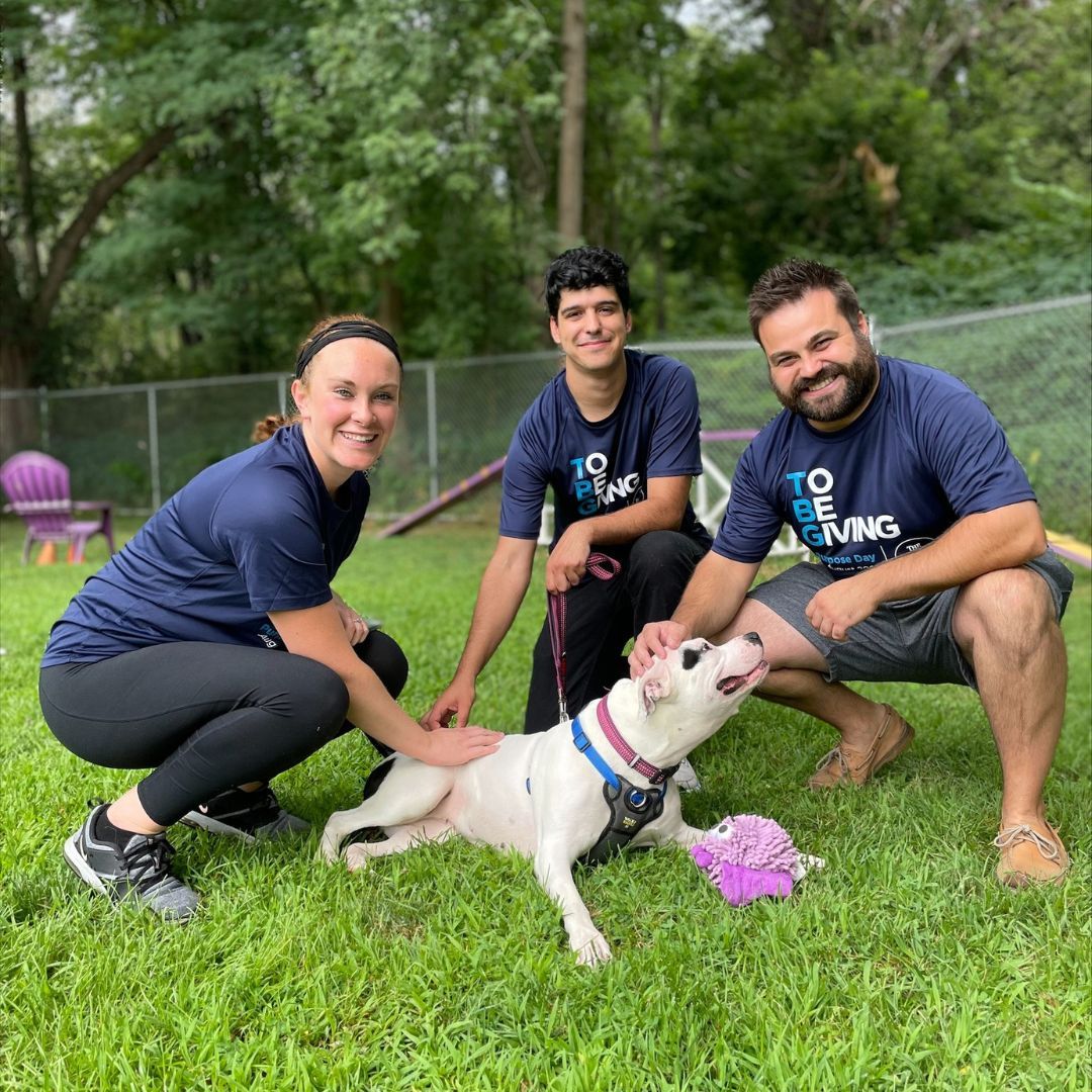 Volunteer Program | Animal Protective Foundation
