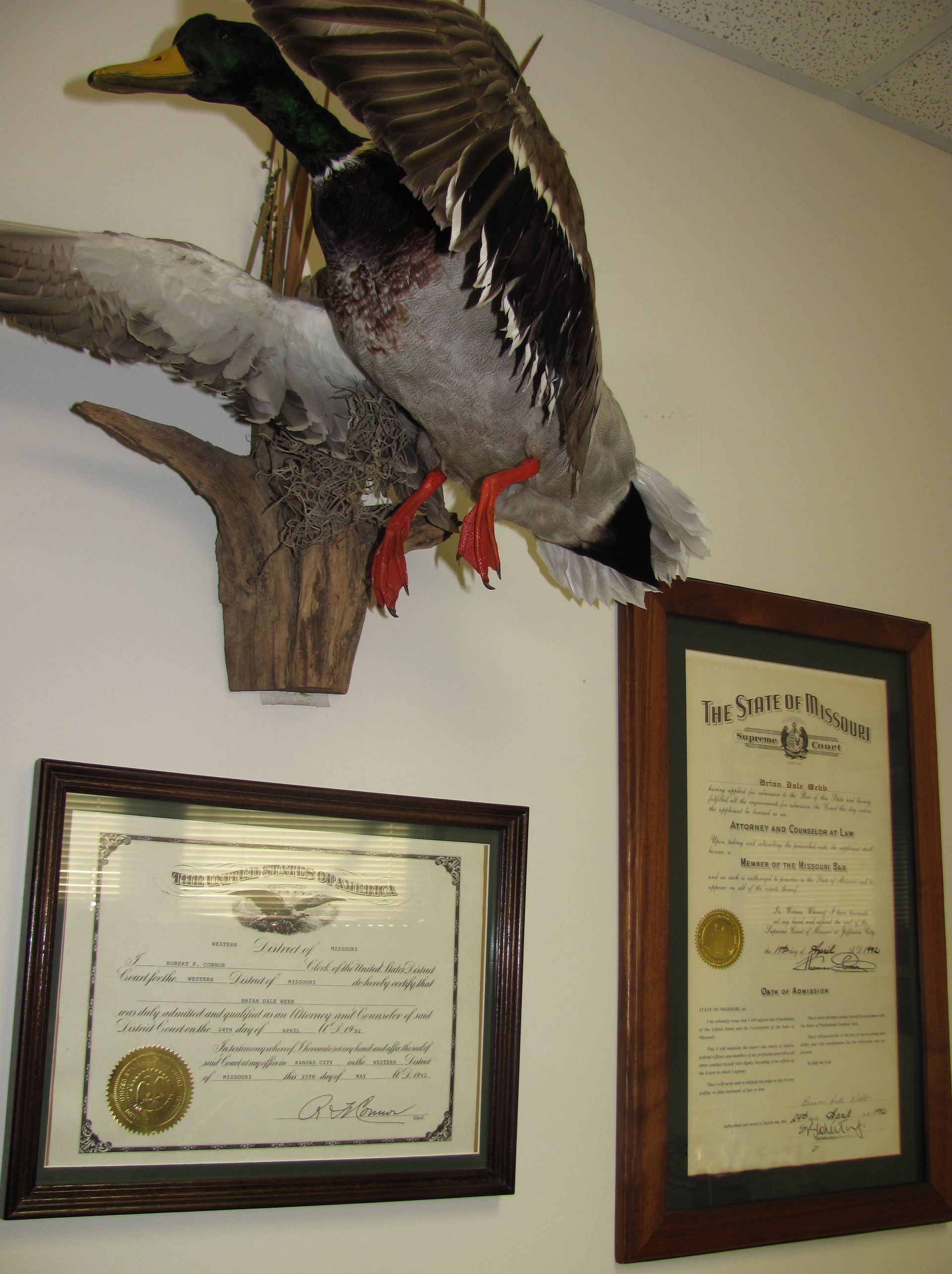 About Brian D. Webb | Experienced Family Law | Bankruptcy | Traffic Law ...