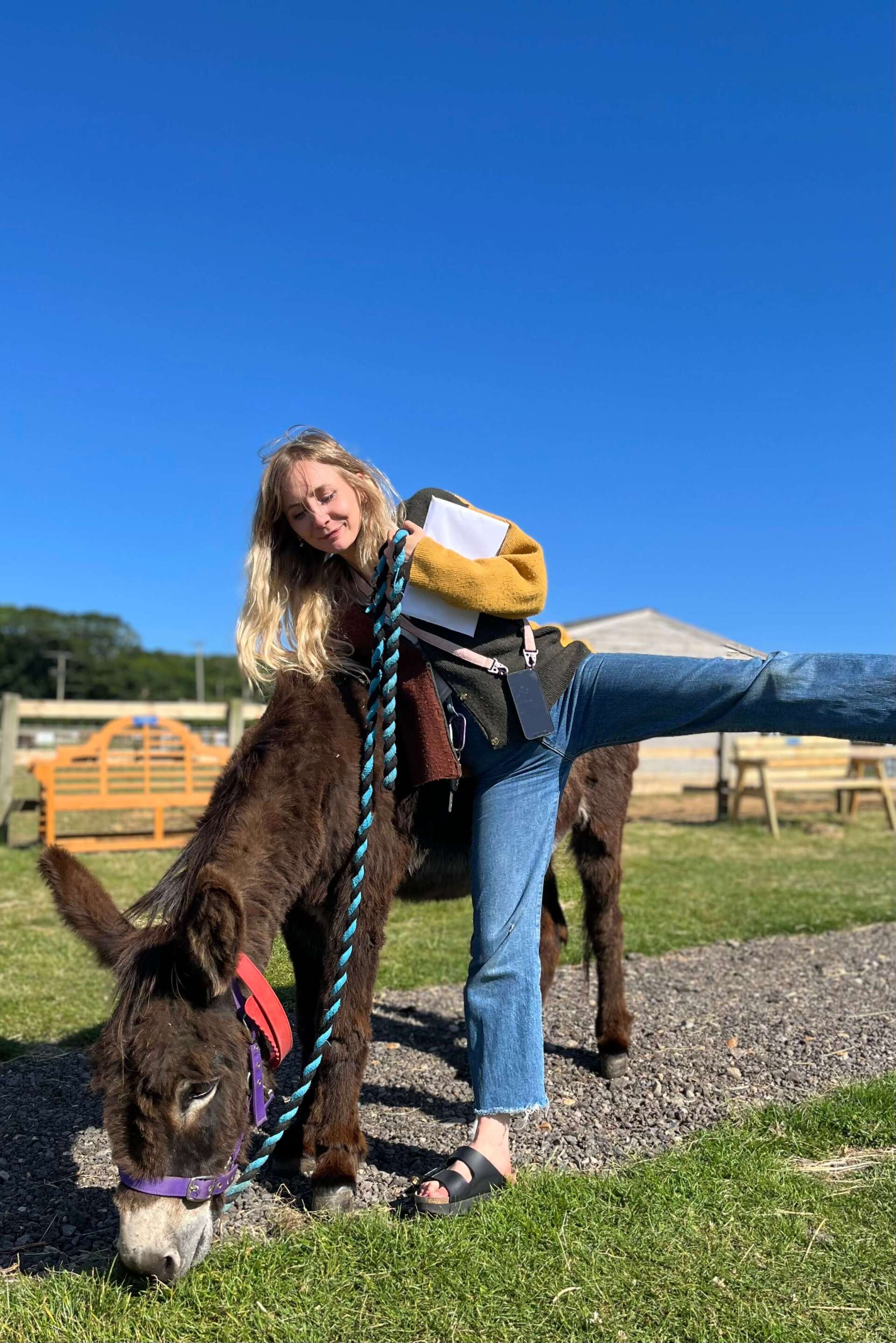 Celebrity ambassadors | Isle of Wight Donkey Sanctuary