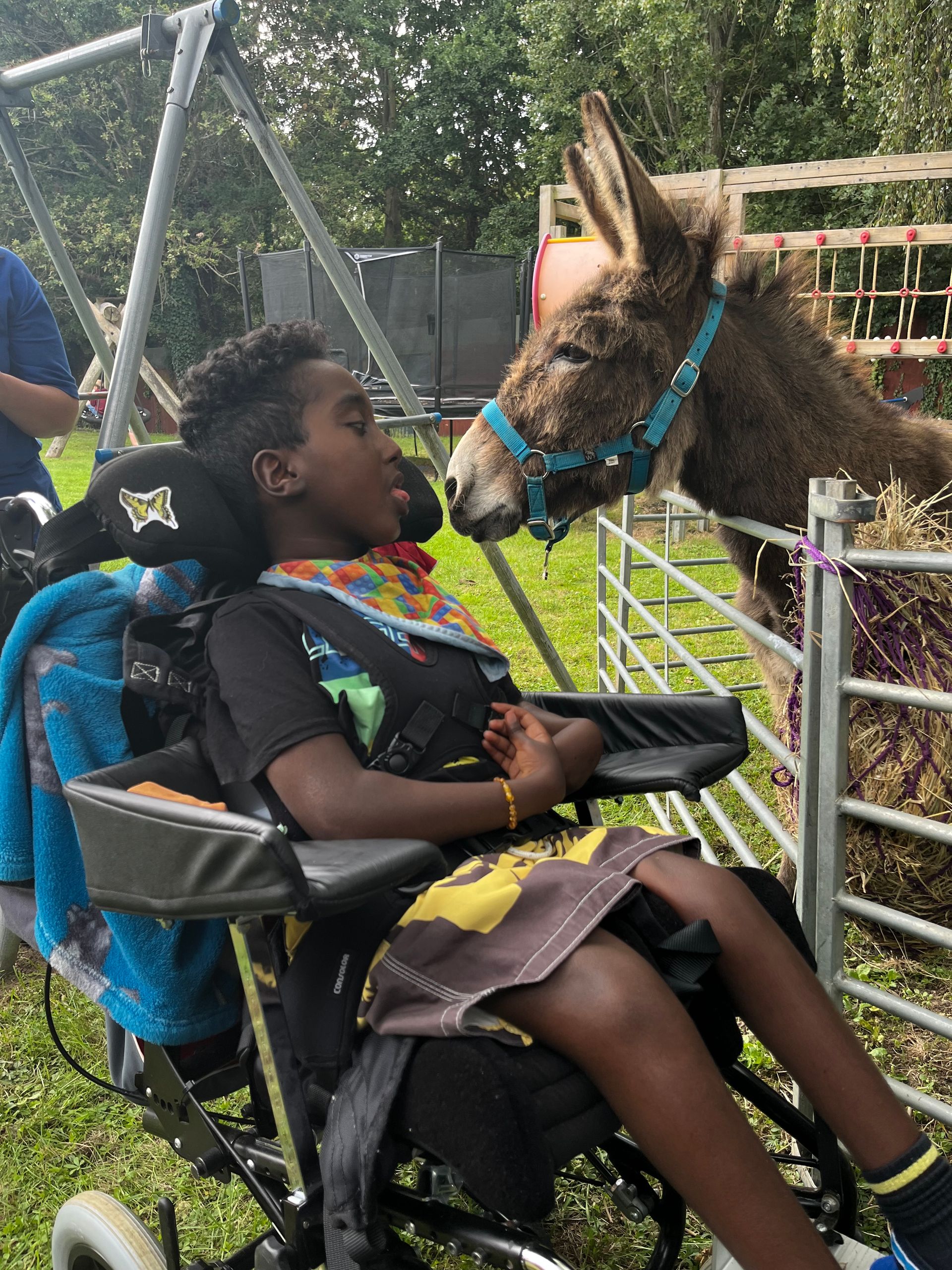 Our Community | Isle of Wight Donkey Sanctuary