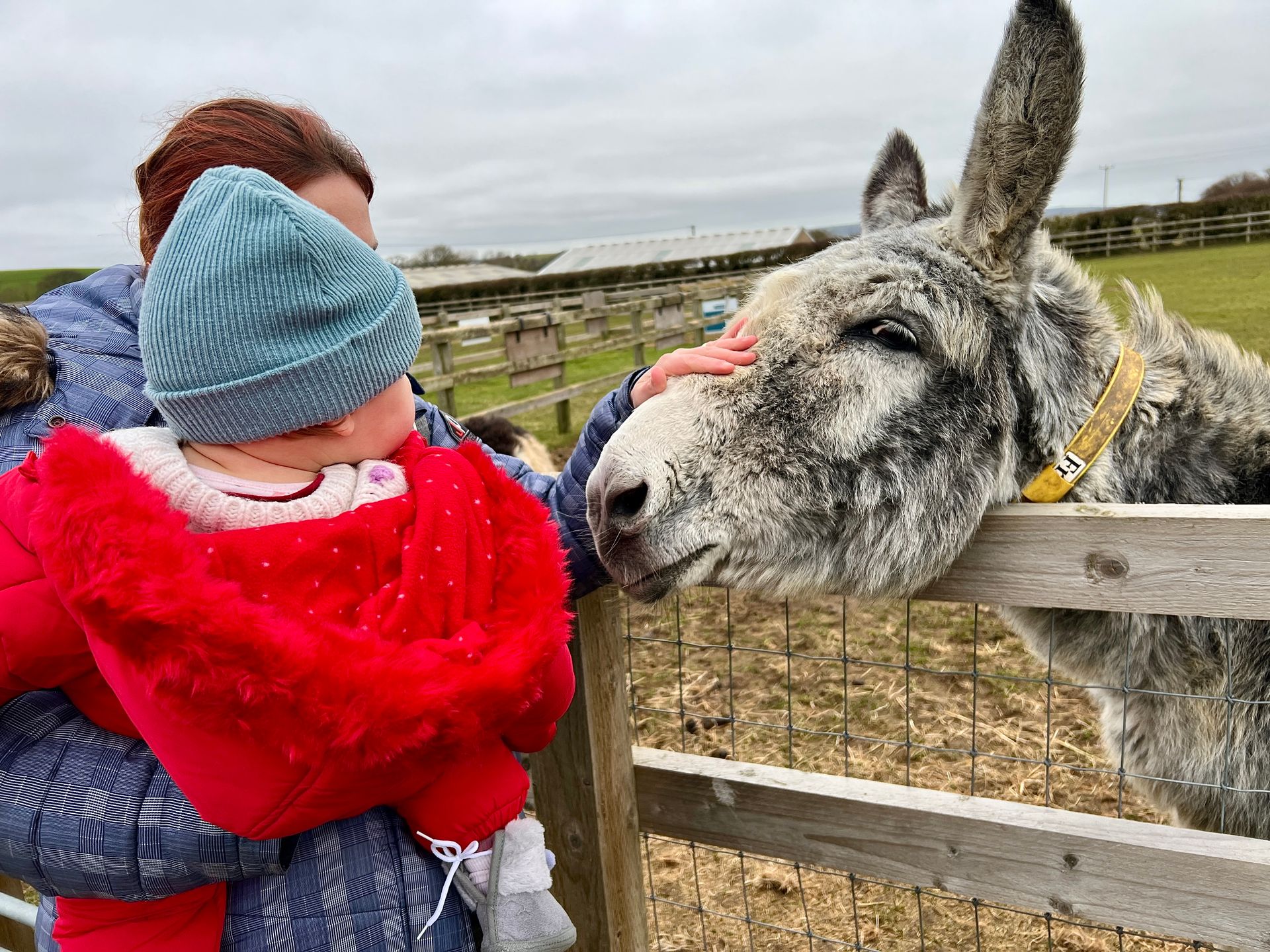 Explore | Isle of Wight Donkey Sanctuary