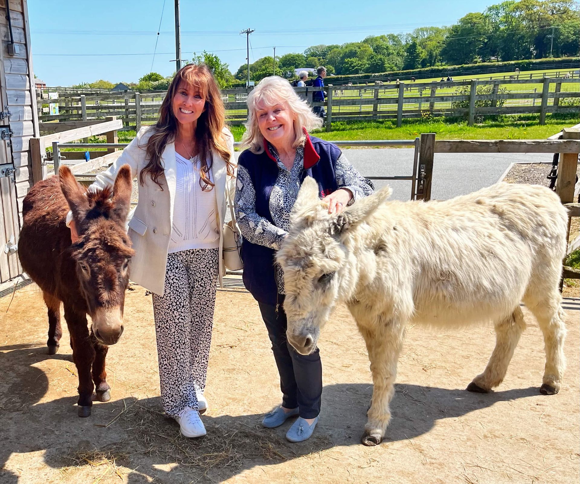 Celebrity ambassadors | Isle of Wight Donkey Sanctuary