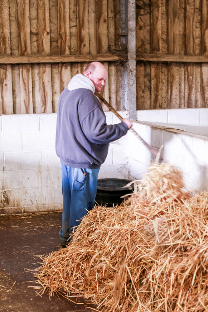 Care and Welfare | Isle of Wight Donkey Sanctuary