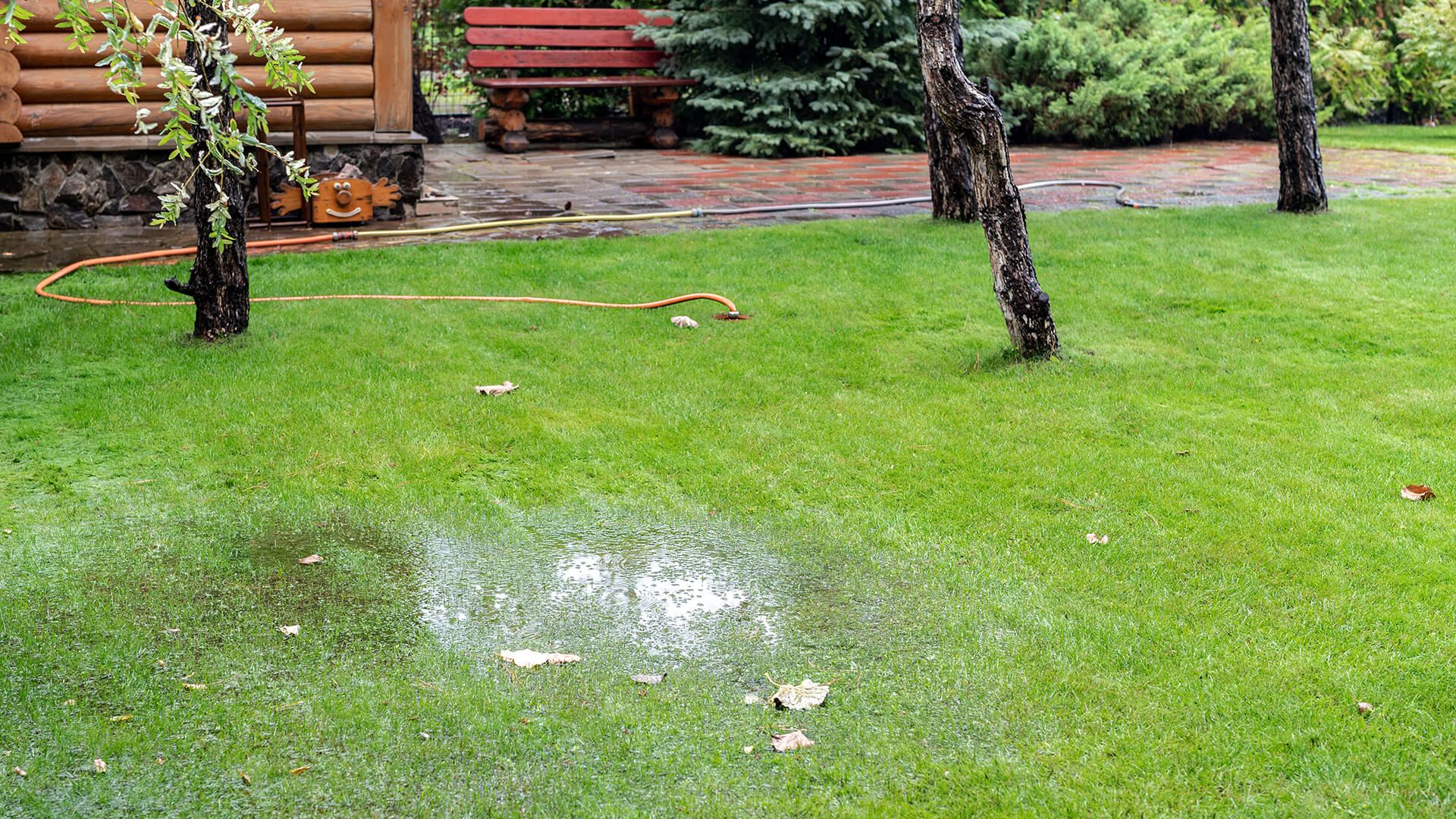 Grading & Drainage Solutions Monroe, WA | Expert Water Management ...
