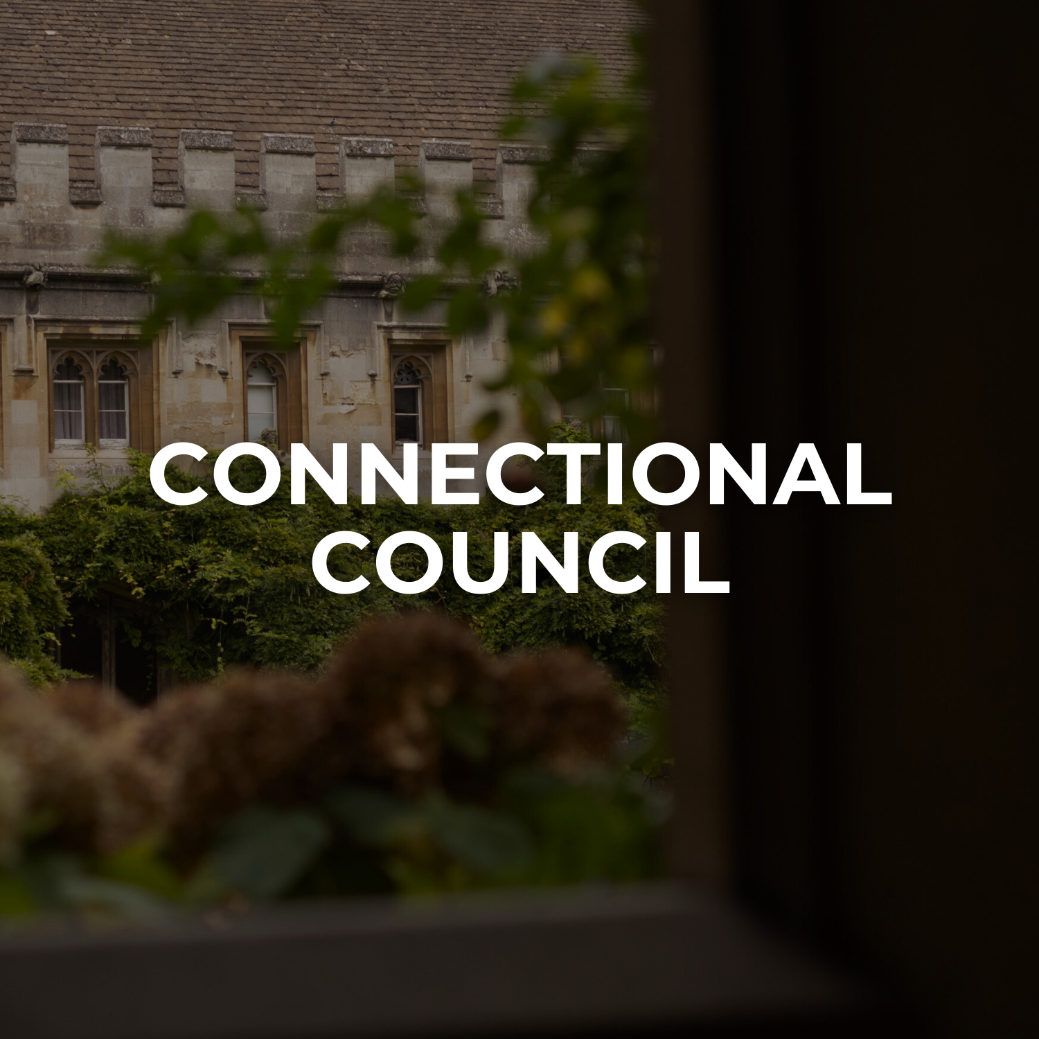 Councils & Commissions